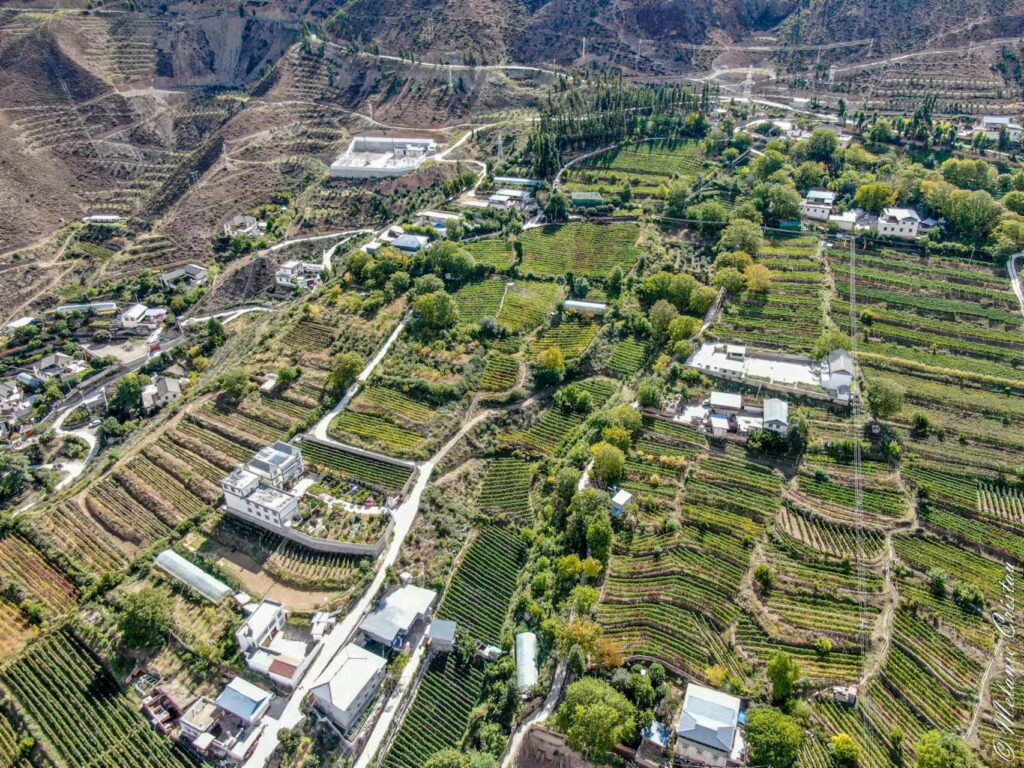 The Yunnan Wine Files, Part 1 – TerroirSense Wine Review