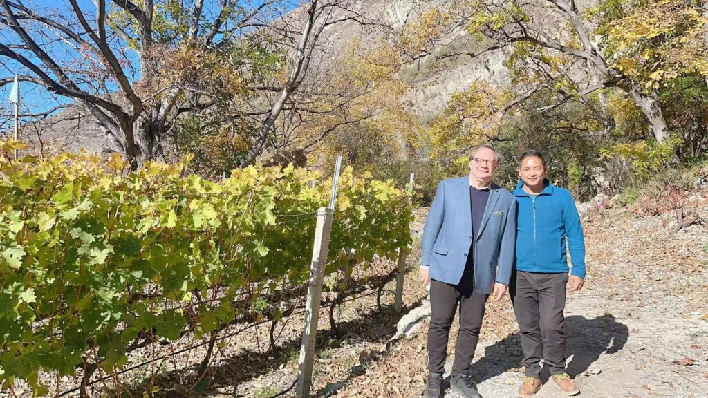 Ao Yun, A Chinese First Growth: The Complete Vertical – TerroirSense ...
