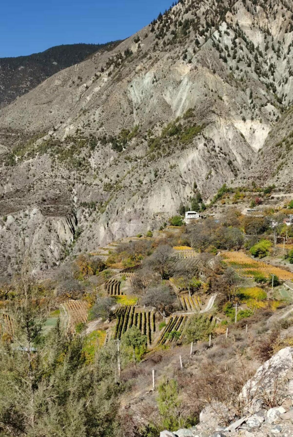 Ao Yun, A Chinese First Growth: The Complete Vertical – TerroirSense ...