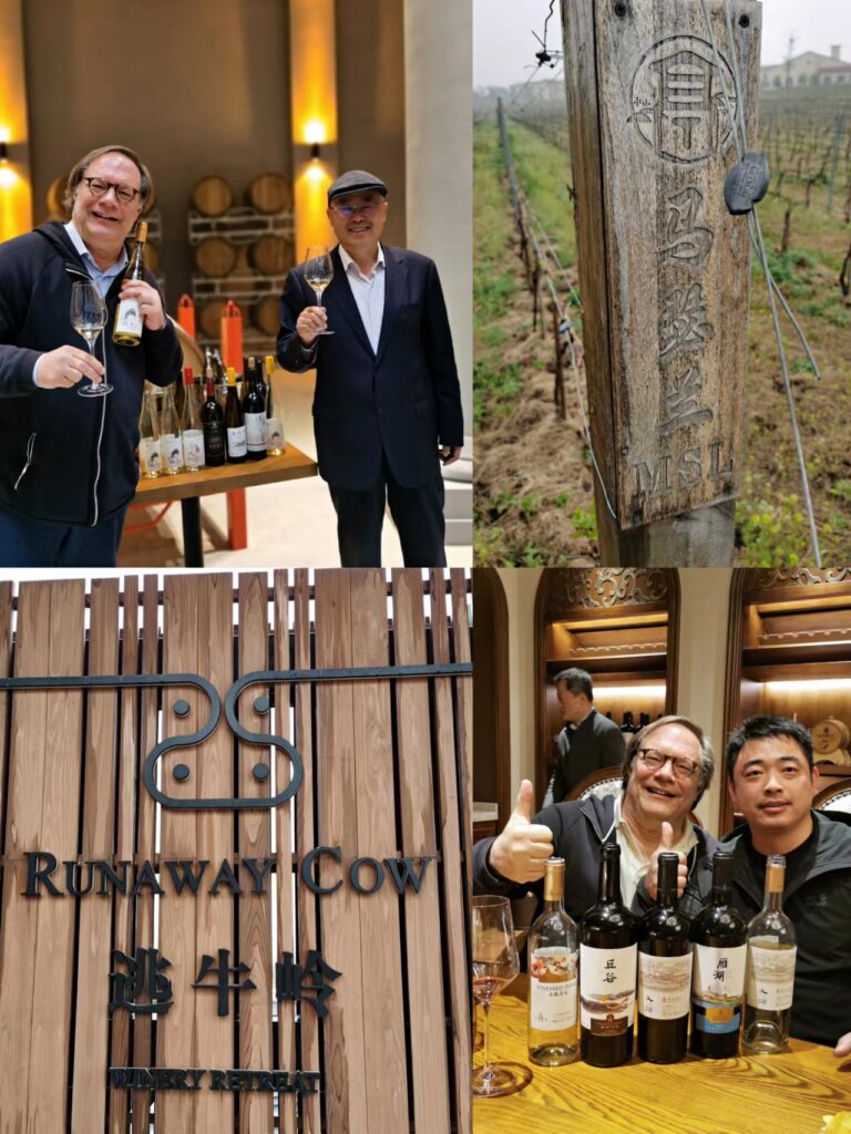 Marselan Finds A Home in China: One of Country’s Three Signature Grape ...
