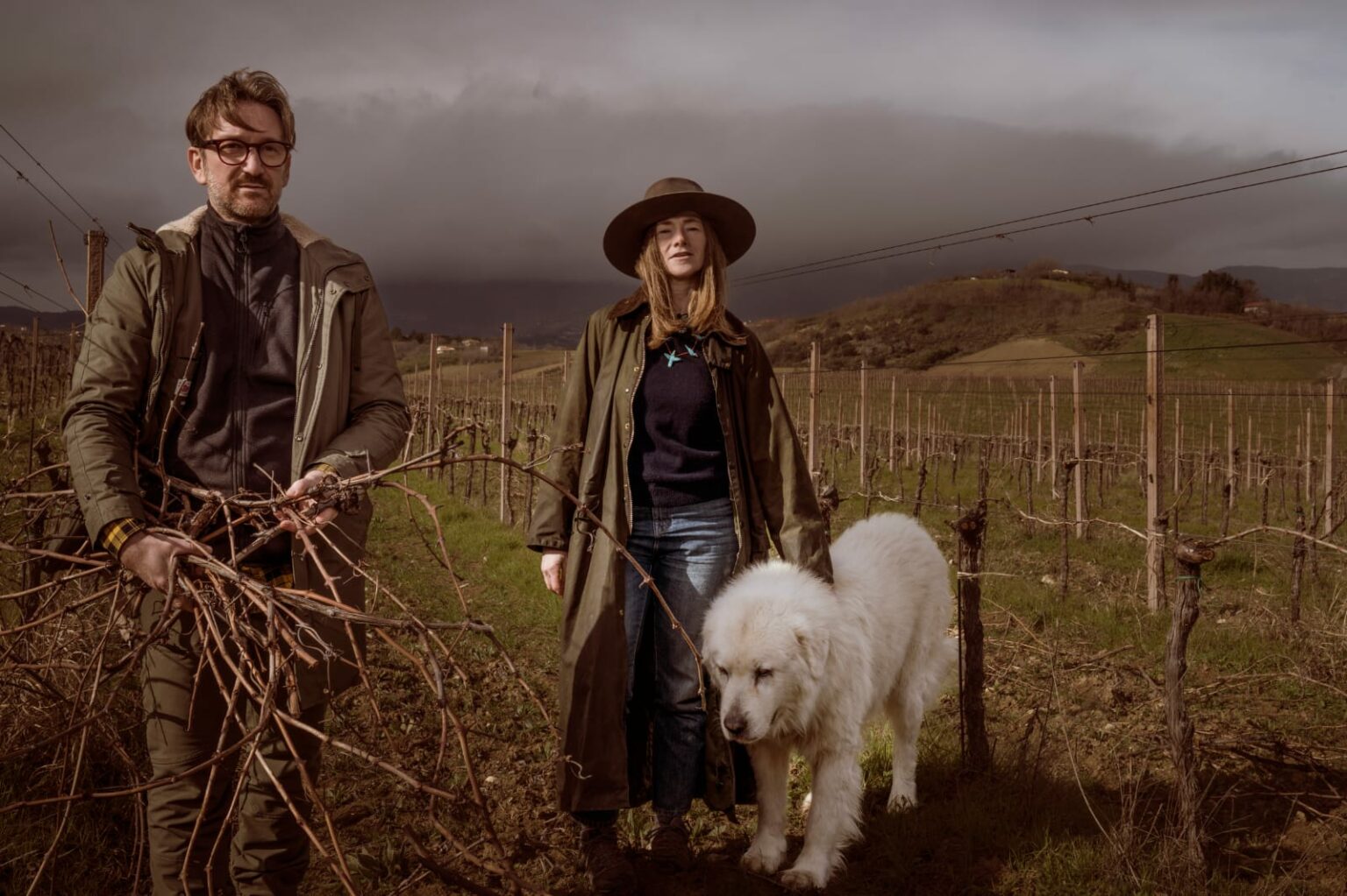 Tiberio Trebbiano D’Abruzzo Fonte Canale Vertical: Every Vintage Ever ...