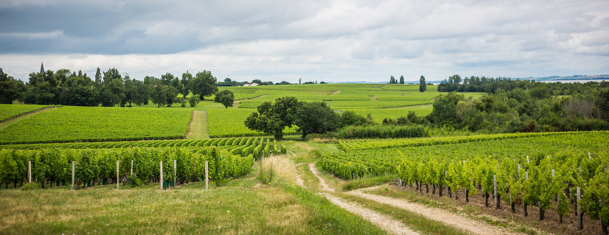 The Young Generation of the Médoc and Its Wines: Something for Everyone ...