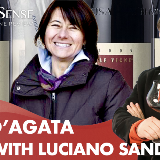 TerroirSense Wine Review