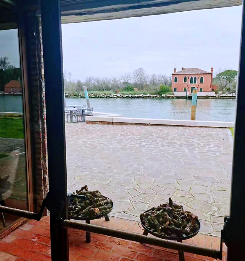 Restaurant & Wine Review: Venissa in Venezia – TerroirSense Wine Review