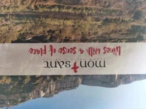 A Primer on Spain’s Montsant Region and Its Wines – TerroirSense Wine ...