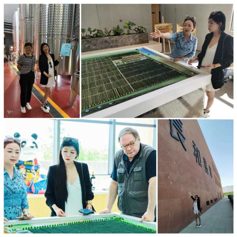 The Noteworthy Wines of Fei Tswei in Ningxia – TerroirSense Wine Review