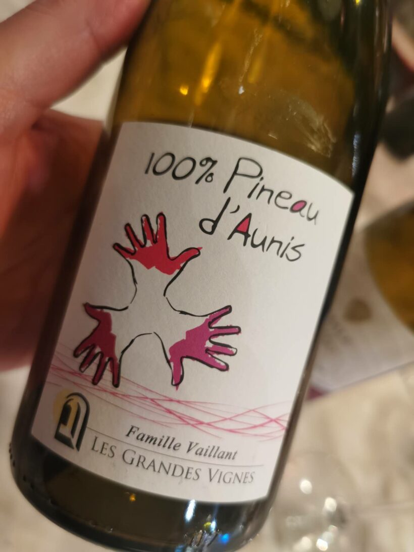 Ian D’Agata’s Memorable World Wines 2023 – TerroirSense Wine Review