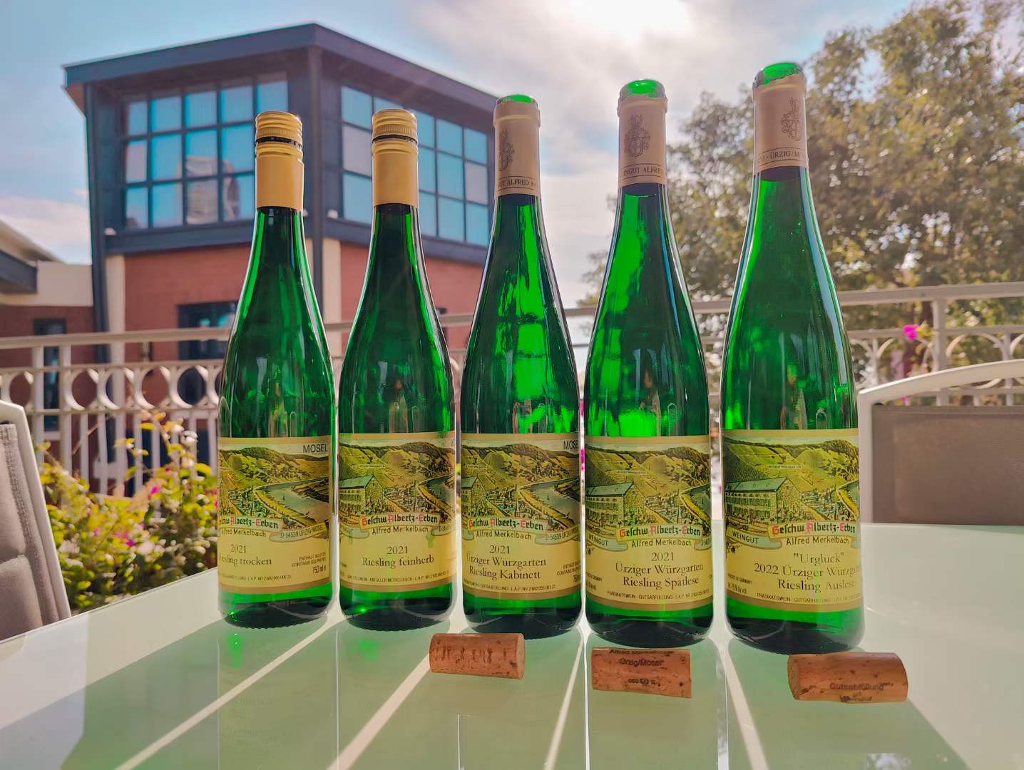 The Wines of Germany: New and Recent Releases, Part 1 – TerroirSense ...