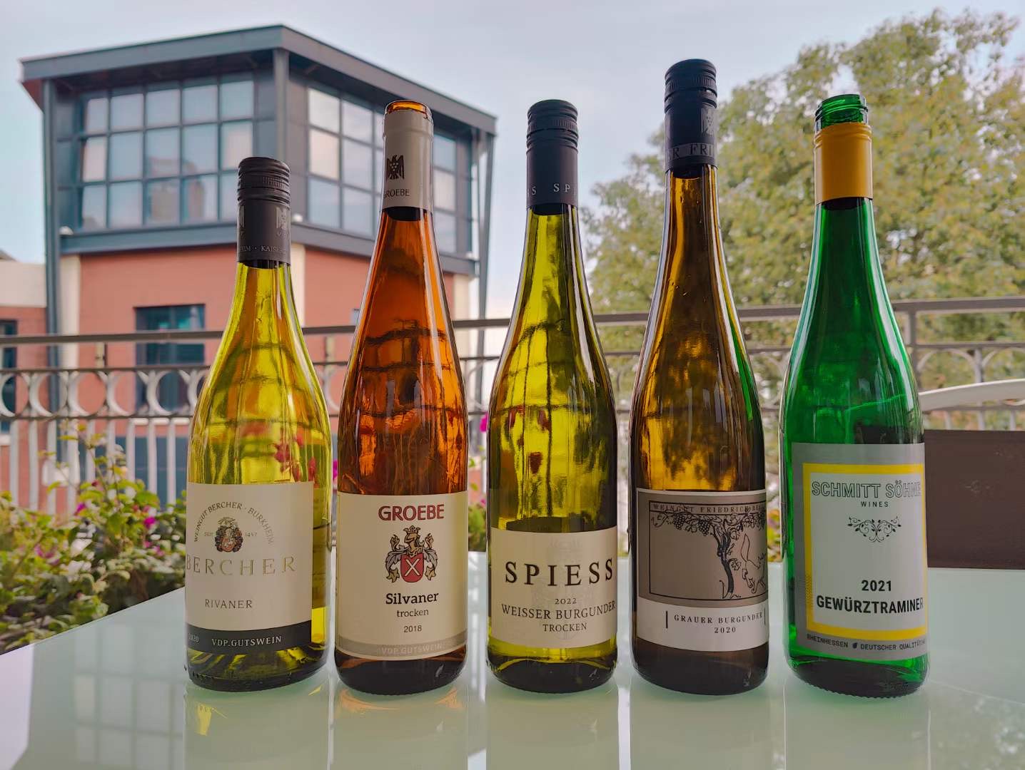 The Wines of Germany: New and Recent Releases, Part 1 – TerroirSense ...